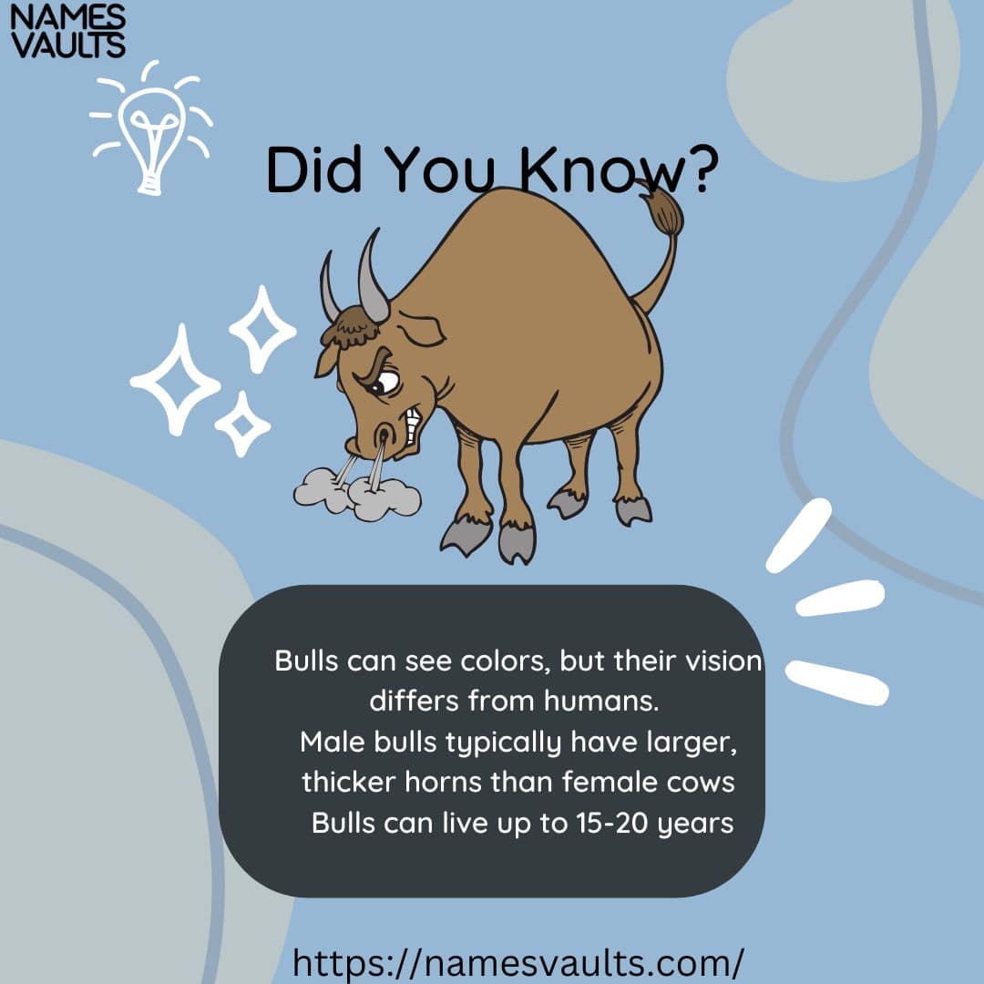 Best Bull Names [320+ Meaningful Ideas] - Names Vaults