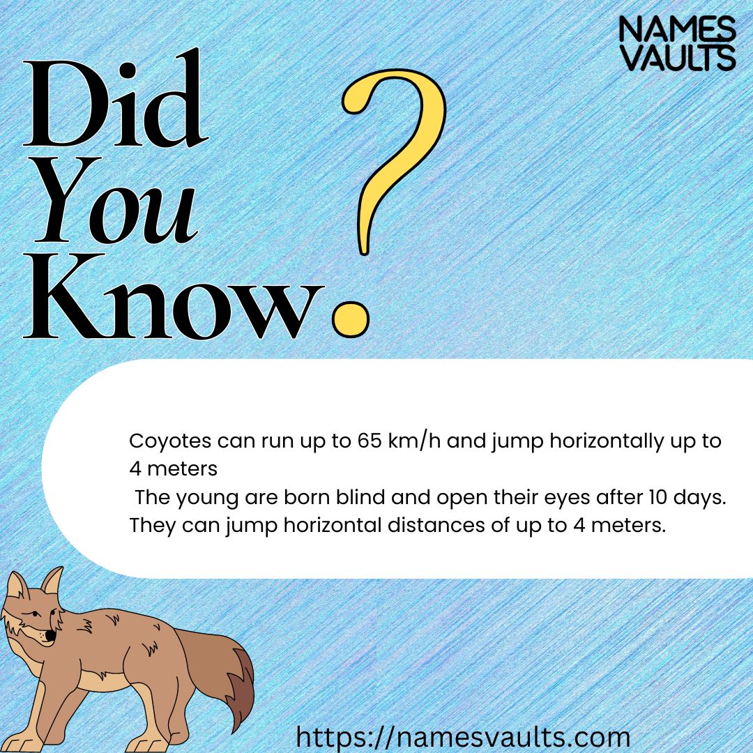 335+ Unique Coyote Names [Cool & Meaningful Ideas] - Names Vaults