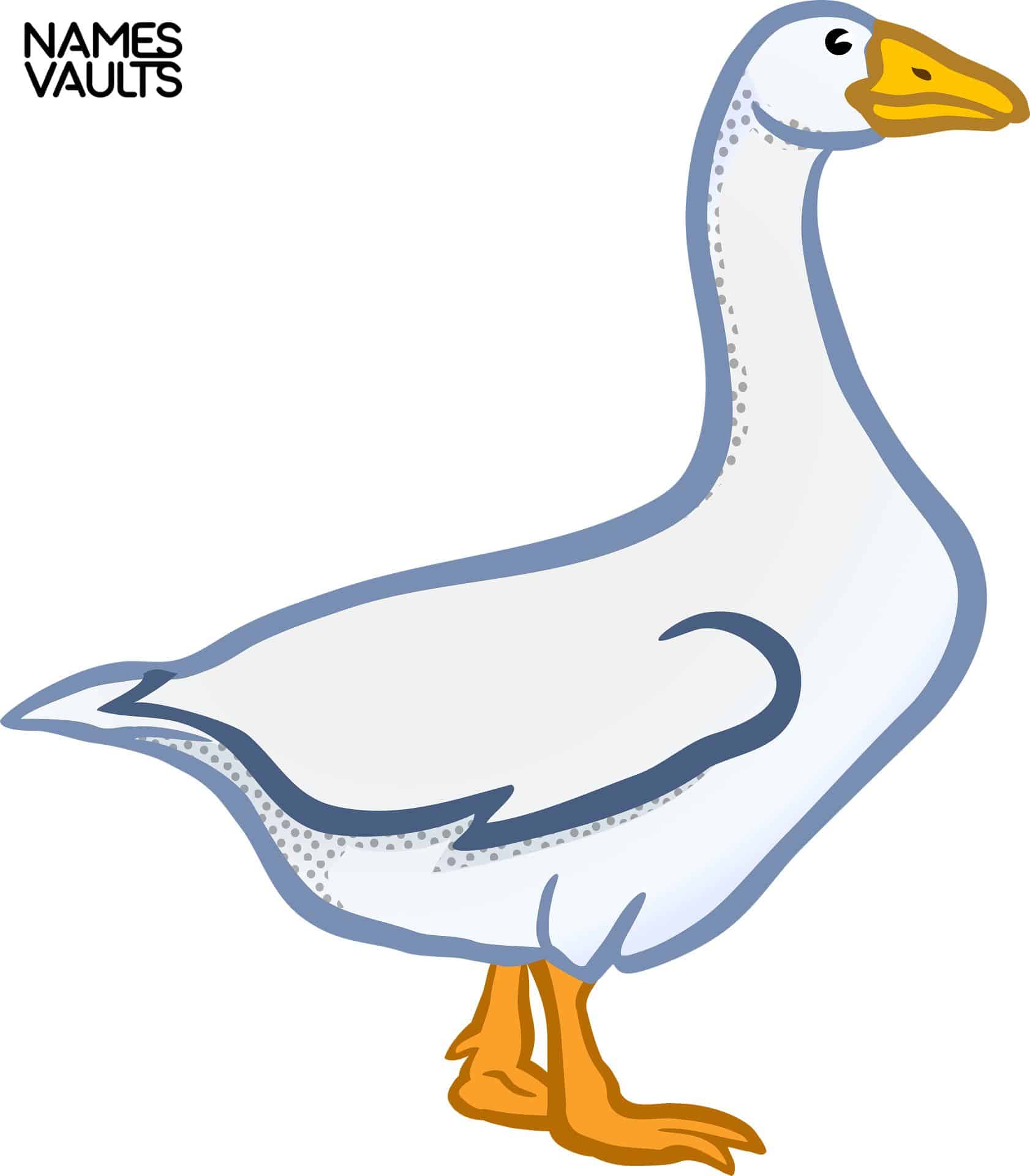 Best Goose Names With Meaning [360+ Ideas] - Names Vaults