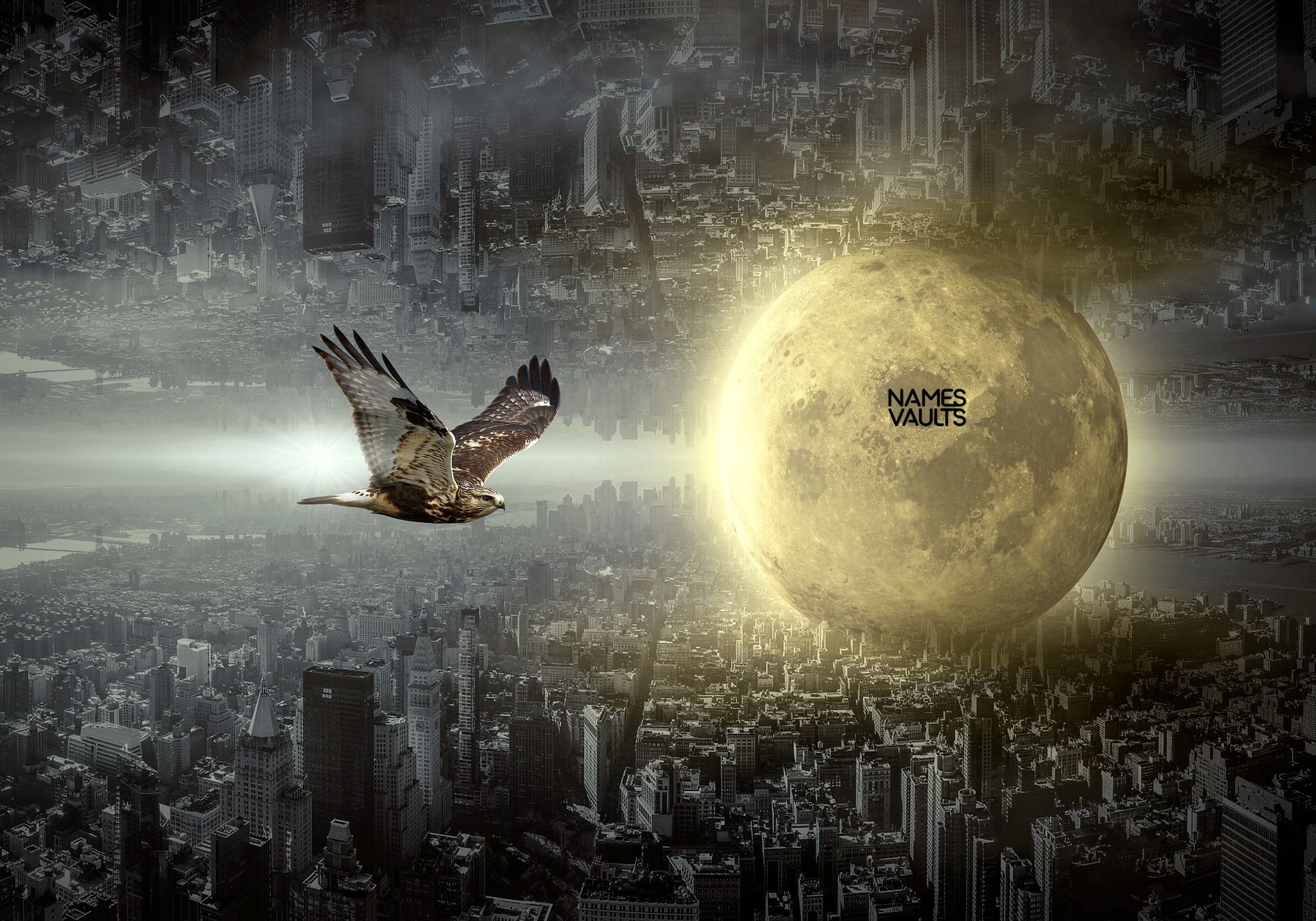 305+ Cool & Catchy Hawk Names With Meanings - Names Vaults