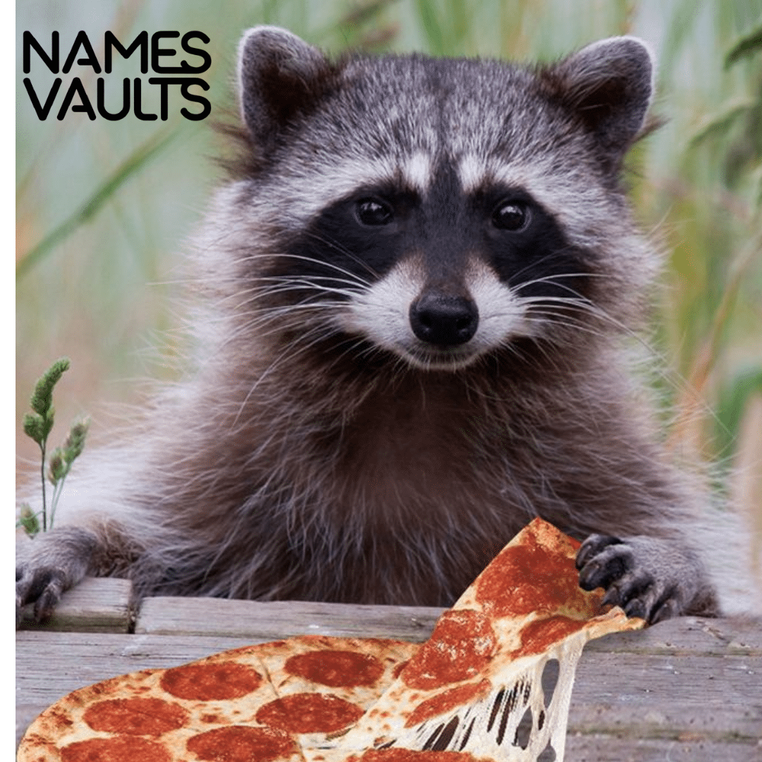 380+ Cute & Cool Raccoon Names [Fun & Meaningful Ideas] - Names Vaults