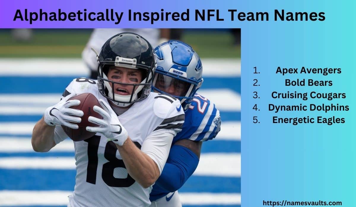 448 Top NFL Team Names: [Unique and Creative Ideas] - Names Vaults