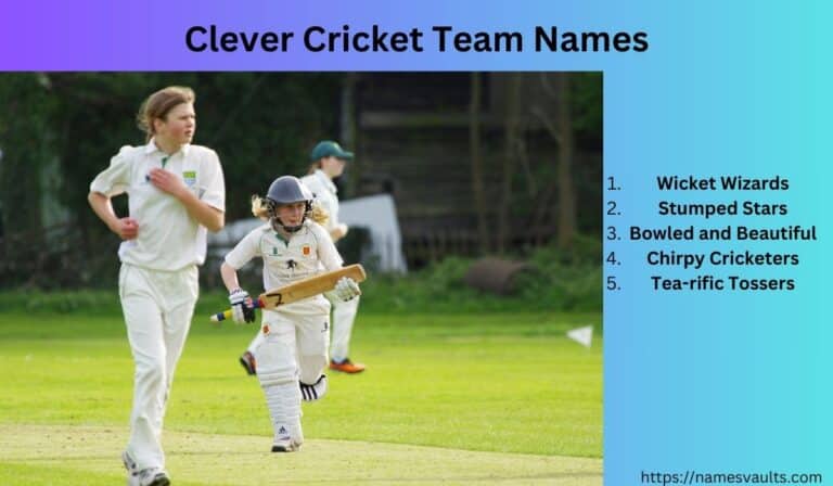 200 Cricket Team Names: Best Ideas for Every Cricket Lover - Names Vaults