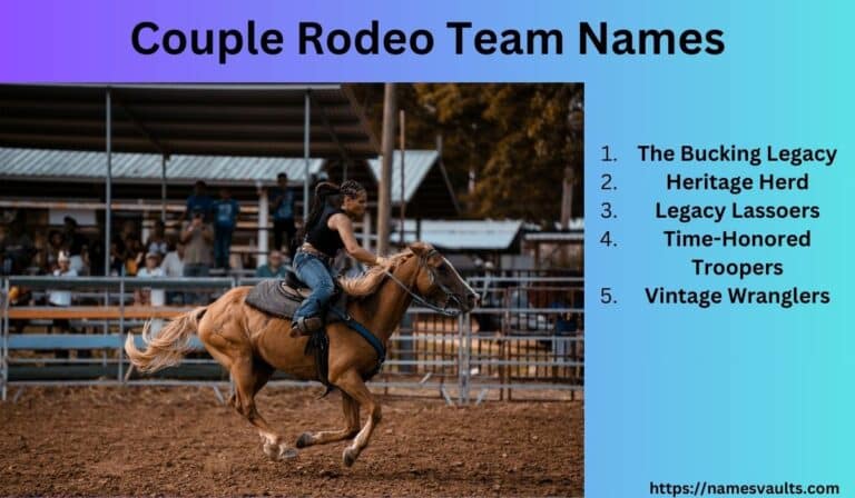 299+ Legendary Rodeo Team Names for Wild West Inspiration - Names Vaults