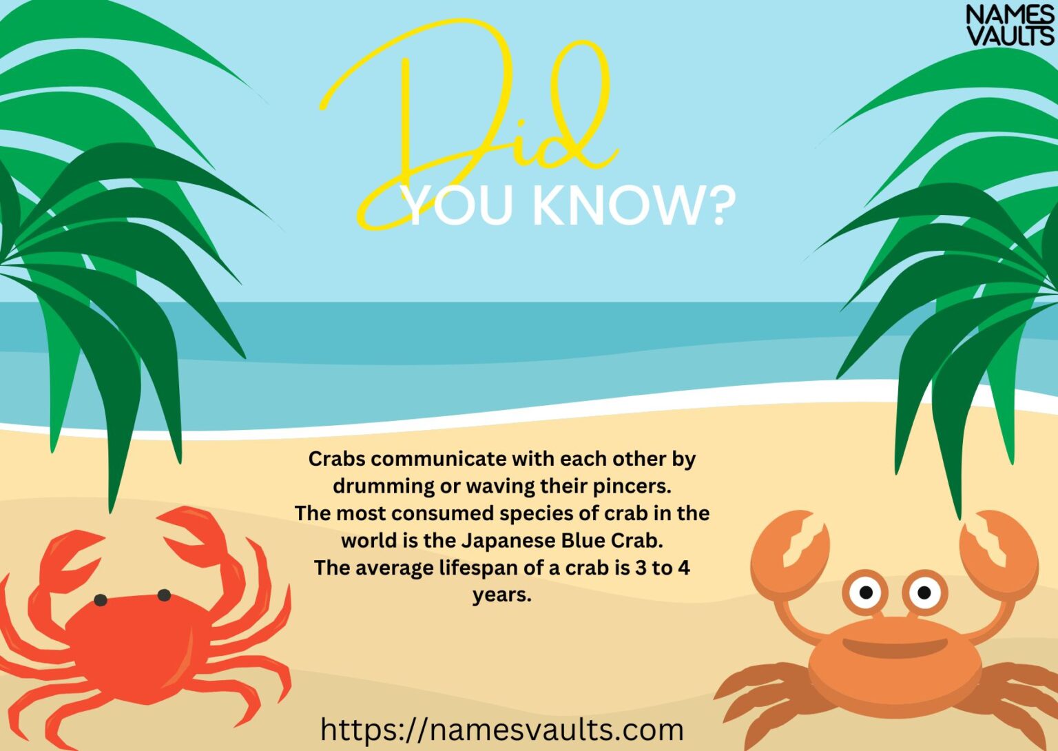 260+ Cool Crab Names With Meaning - Names Vaults