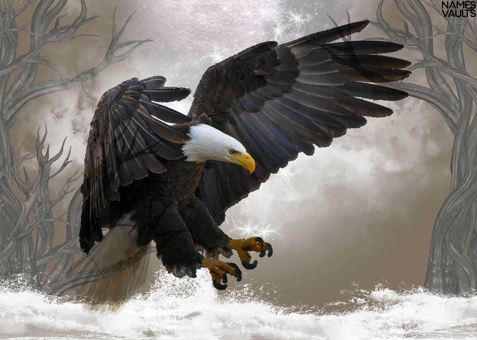 424+ Best Eagle Names & Meanings - Names Vaults
