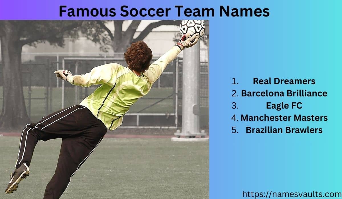 431+ Best Soccer Team Names: From Funny to Famous - Names Vaults