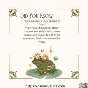 733+ Unique Frog Names (Best Ideas) - Names Vaults