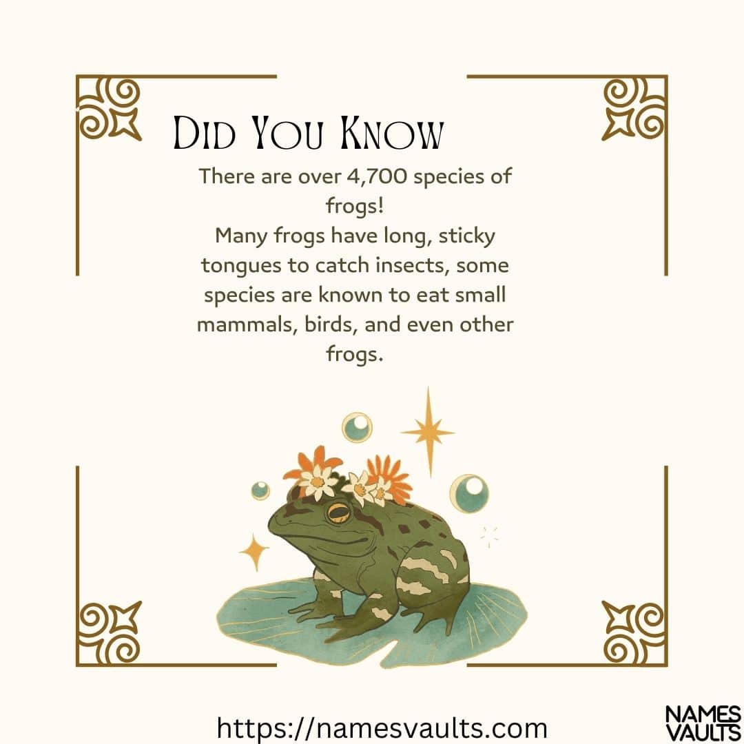 733+ Unique Frog Names (Best Ideas) - Names Vaults