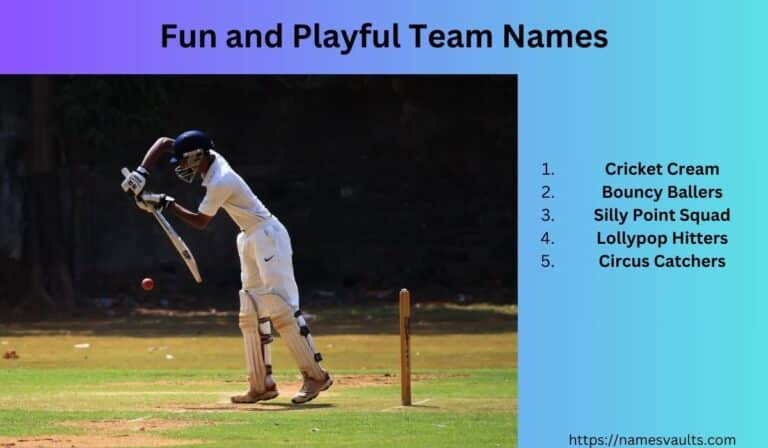 200 Cricket Team Names: Best Ideas for Every Cricket Lover - Names Vaults