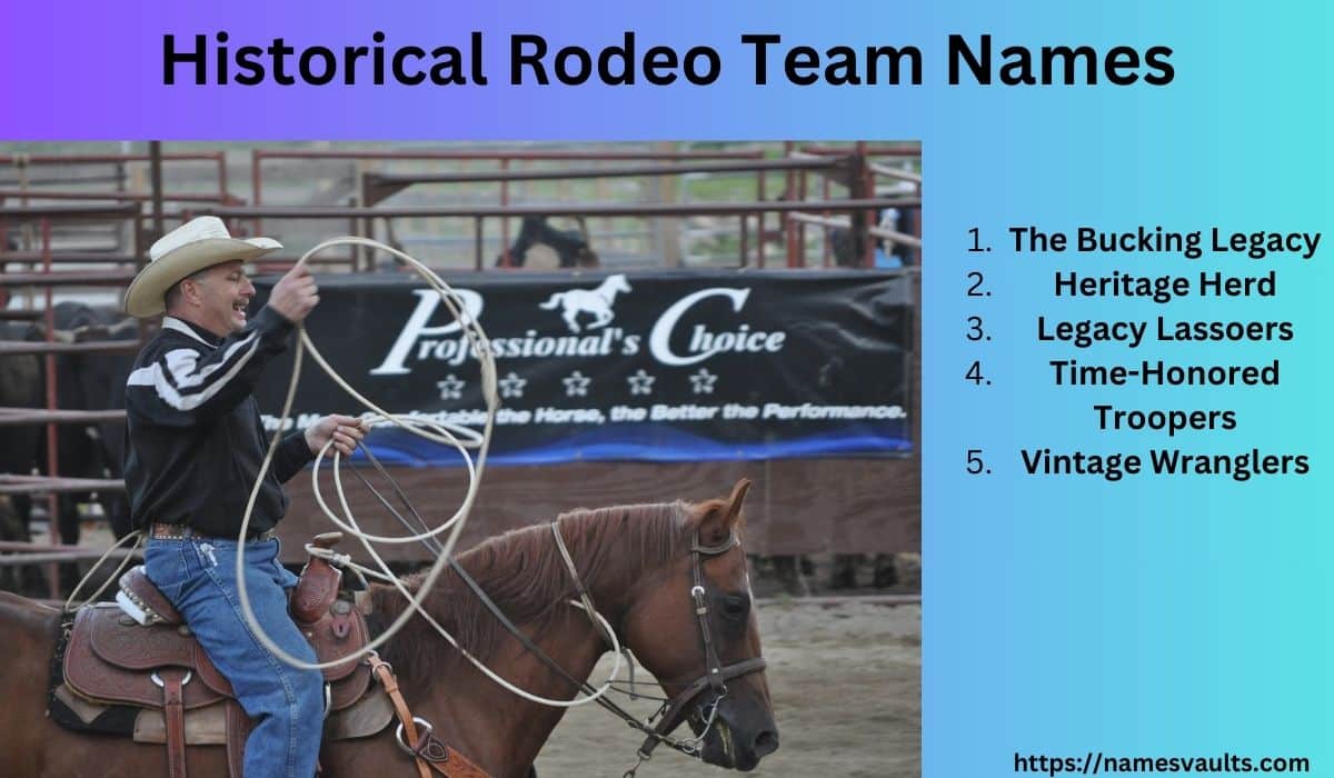 299+ Legendary Rodeo Team Names for Wild West Inspiration - Names Vaults