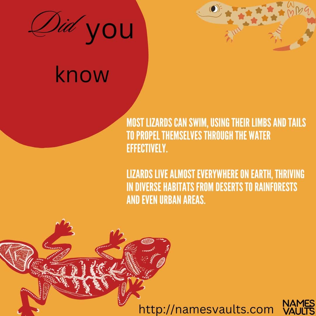 620+ Creative Lizard Names - Names Vaults