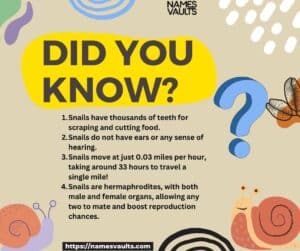 300+ Snail Names With Meanings [Creative Ideas] - Names Vaults