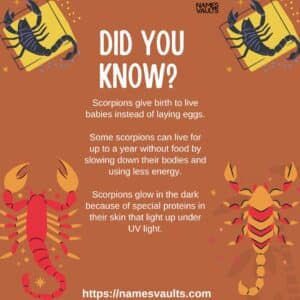 Scorpion Names With Meanings [255+ Fun Ideas] - Names Vaults