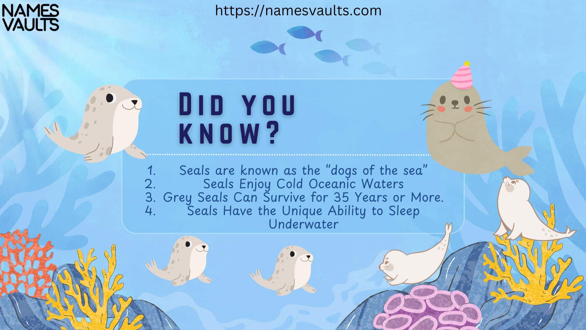 522+ Cute Seal Names [Fun & Meaningful Ideas] - Names Vaults
