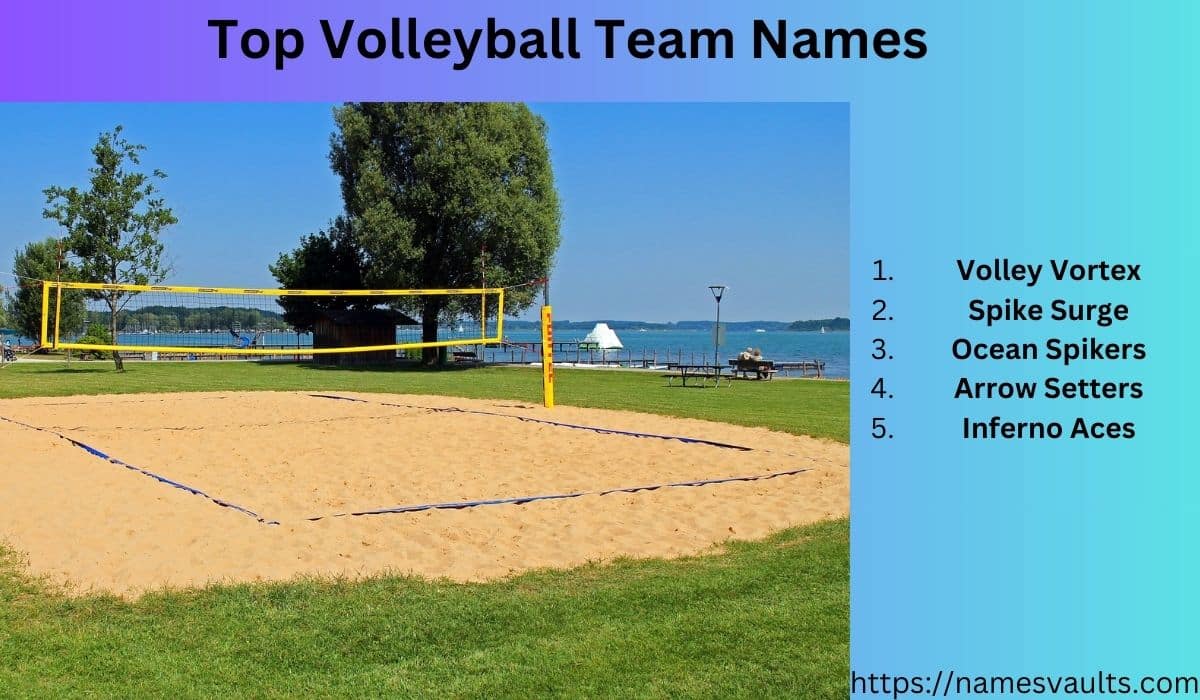 346 Volleyball Team Names: Perfect Name for Your Squad - Names Vaults