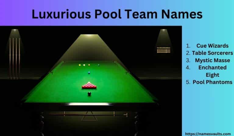 333 Epic Pool Team Names: Ranked & Ready for League Play - Names Vaults