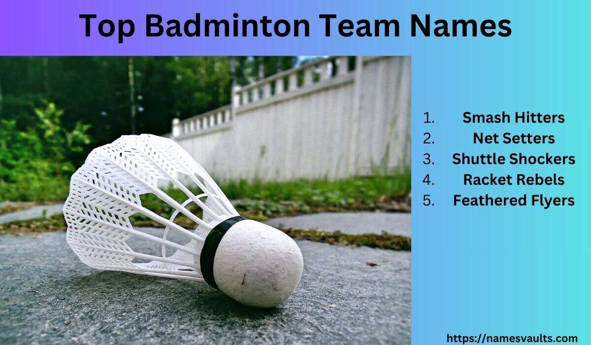 385+ Unbeatable Badminton Team Names to Dominate the Court - Names Vaults