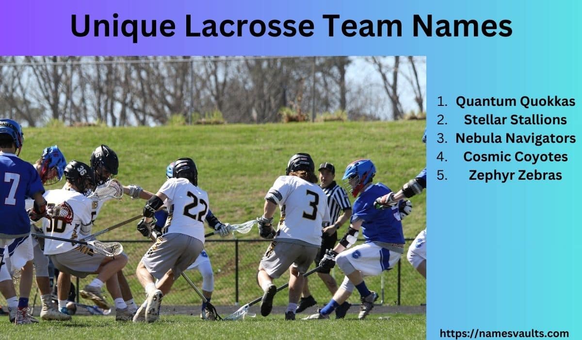 425+ Best Lacrosse Team Names: Crush the Competition - Names Vaults