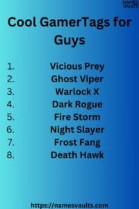 456+ Cool Gamer Tags: Funny, Unique & Standout Ideas - Names Vaults
