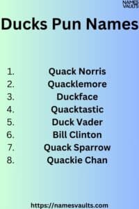 446 Pun Names You’ve Never Heard Before - Names Vaults